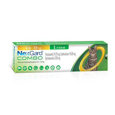 NexGard® COMBO gatos: La protección más completa contra parásitos internos y externos.